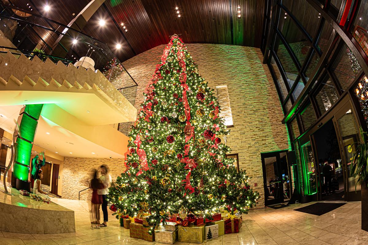 Christmas 21 – Troup's World